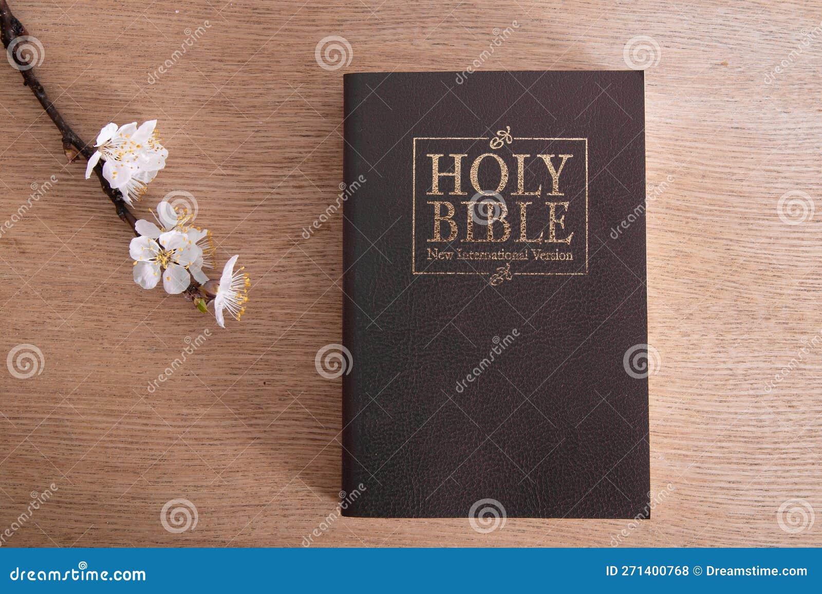 Holy Bible on Table Top View with Blooming Spring Branch Stock Photo ...