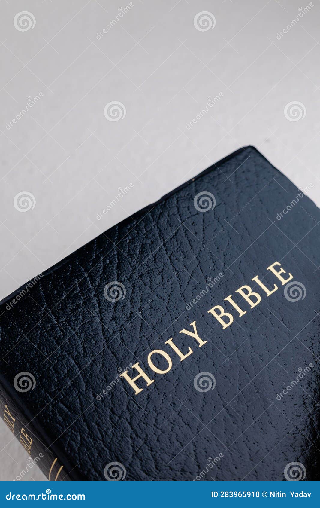 Holy Bible on White with Copy Space Stock Photo - Image of flower ...