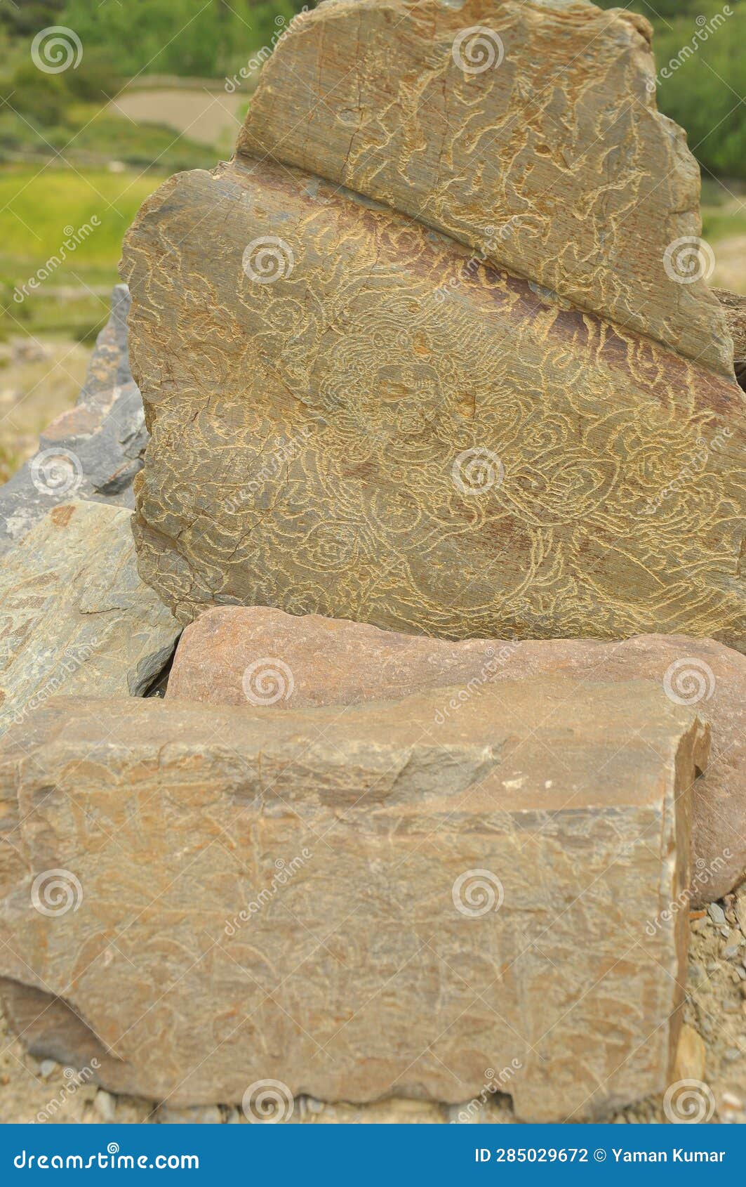Holy Buddhist Carved Stones in Ladakh Stock Photo - Image of holy ...