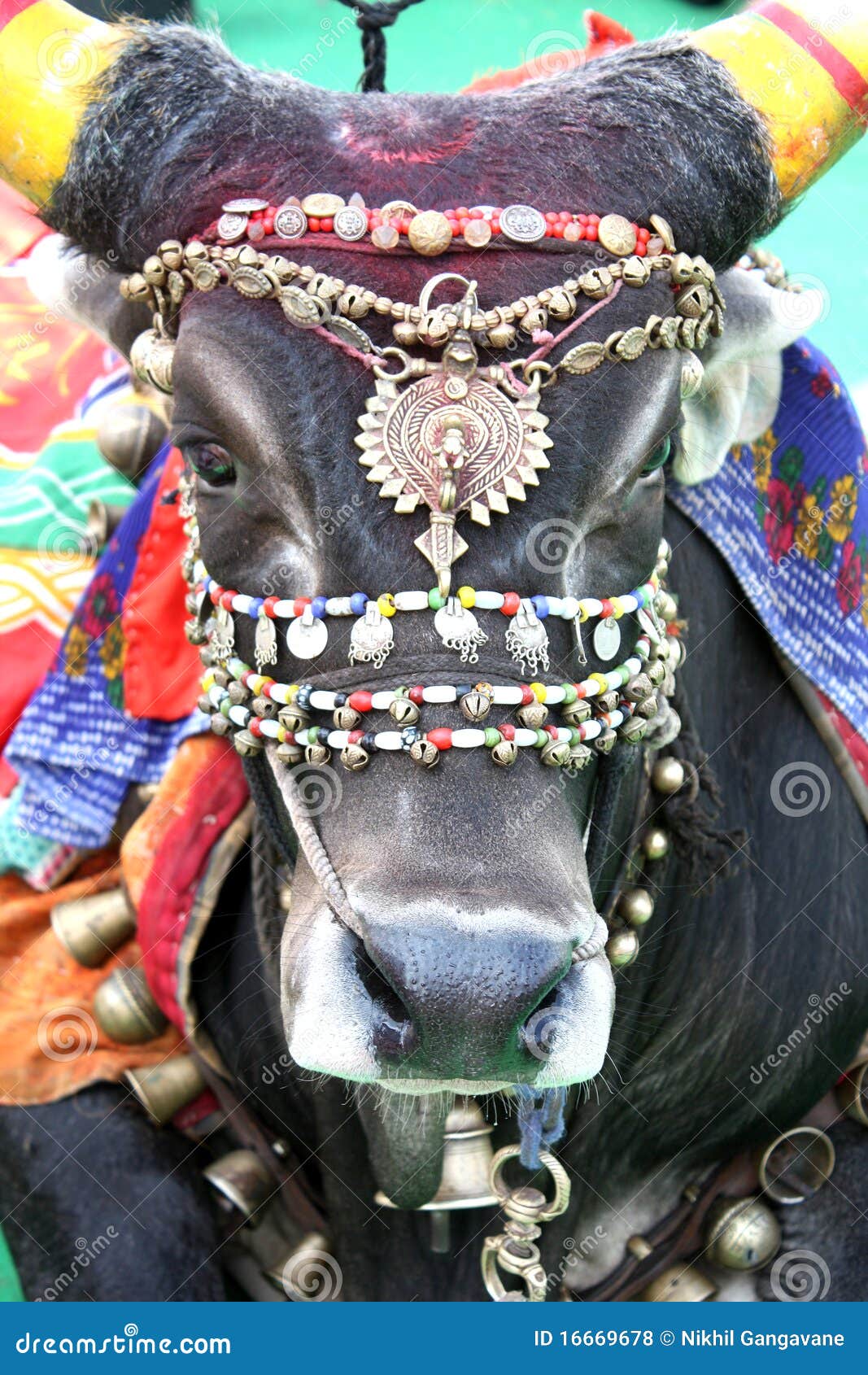 Holy Bull Idol Of Brass In The Temple, Also Called Vrishabha Or Nandi ...