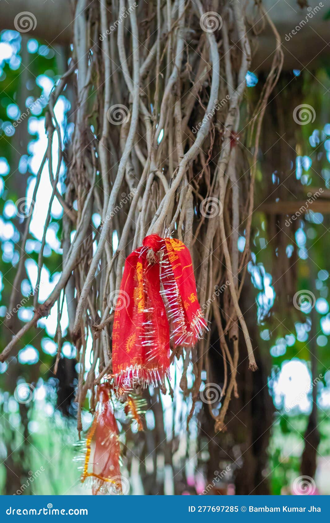 Red Cloth Tied On The Tree To Pray At Tianmen Mountain Zhangjiajie ...