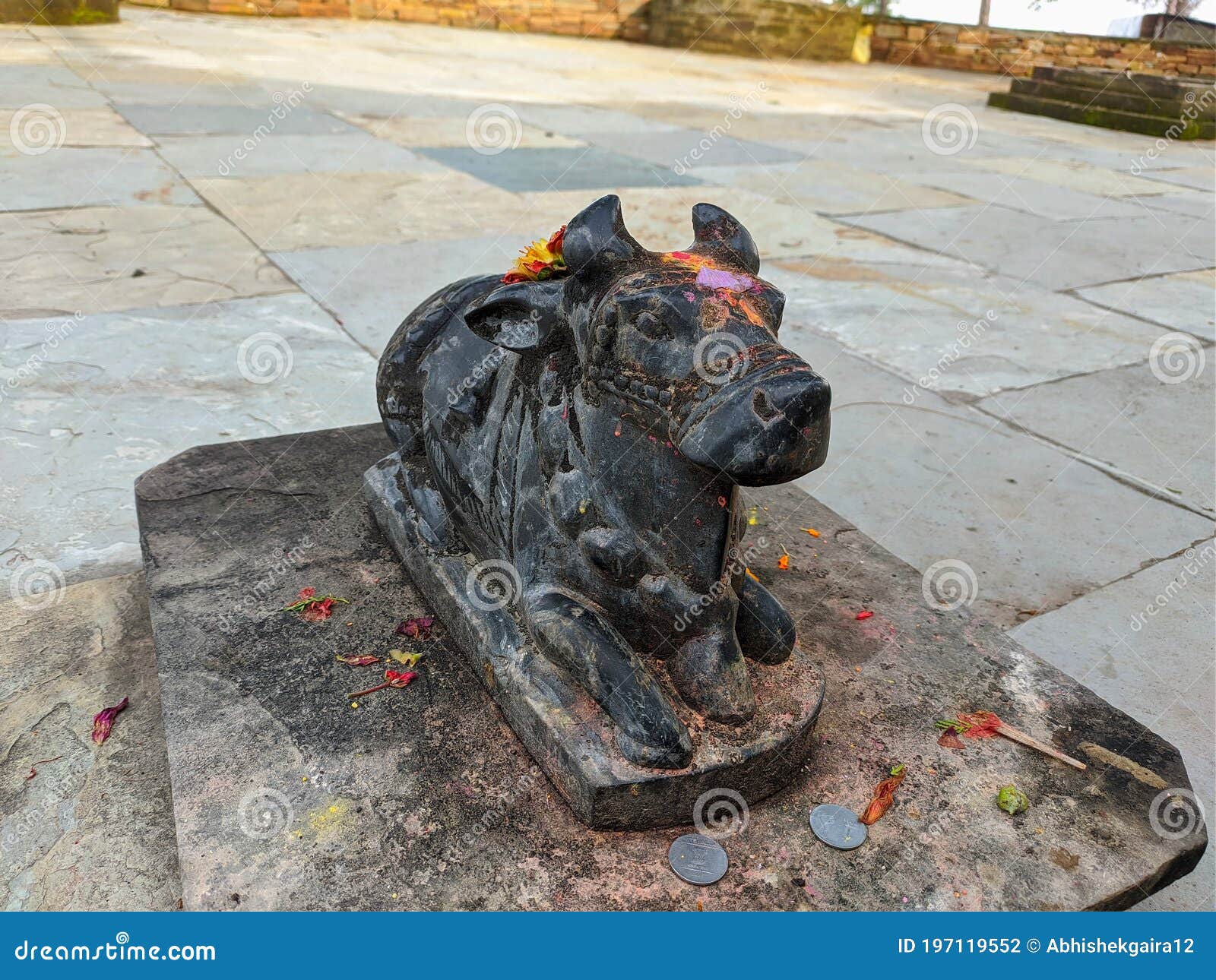 Holy cow in temple stock photo. Image of temple, animal - 197119552