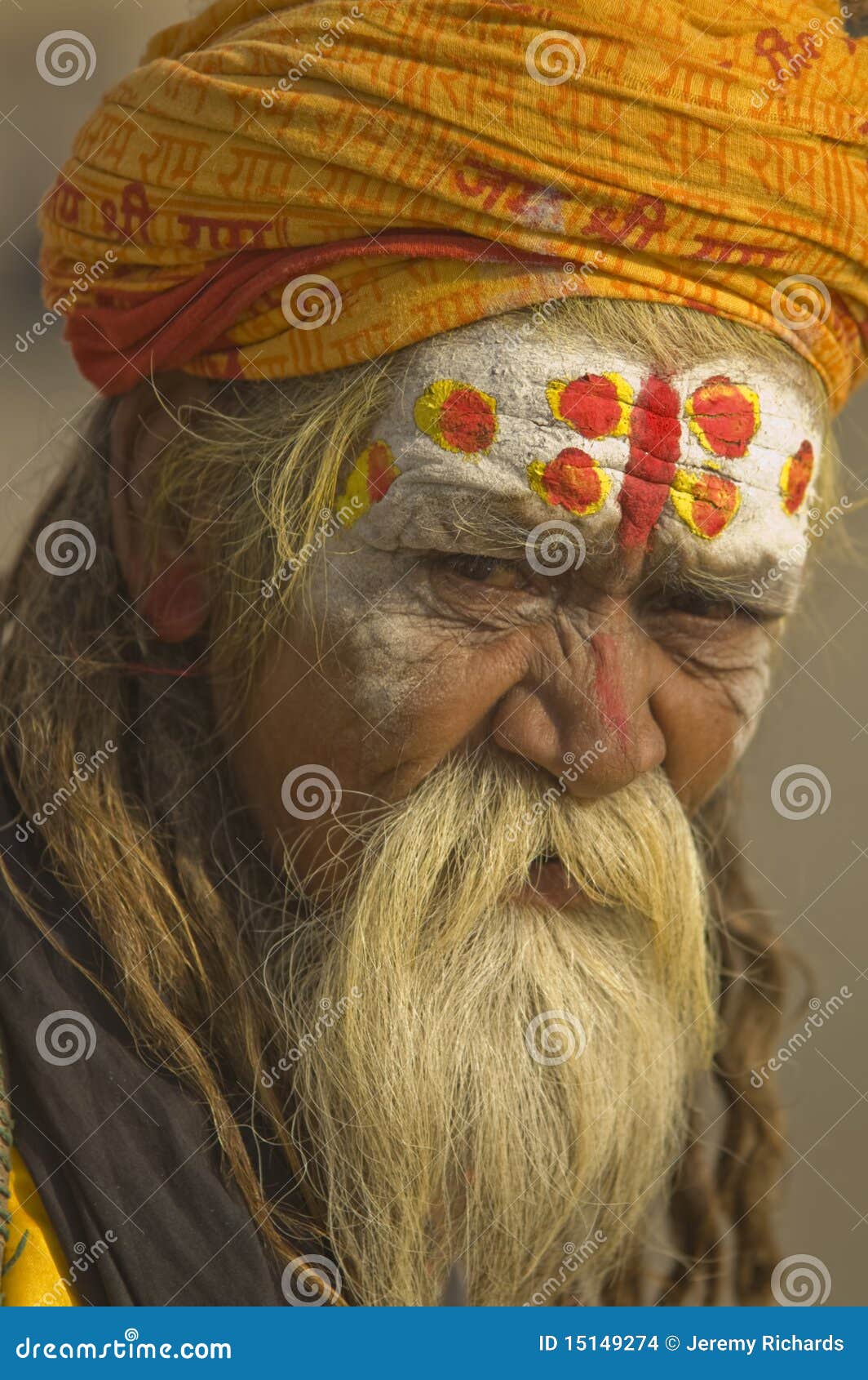 Holy Man editorial stock image. Image of pradesh, cosmetic - 15149274