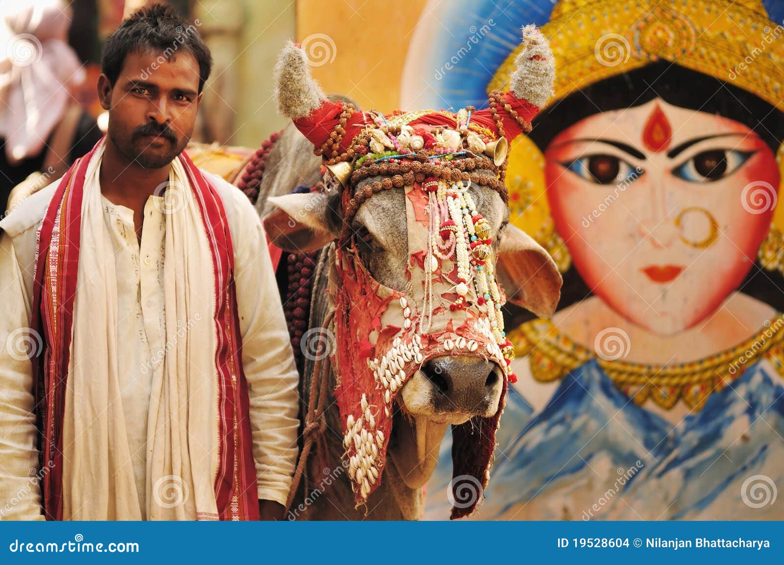 Holy man with cow editorial stock image. Image of sadhu - 19528604