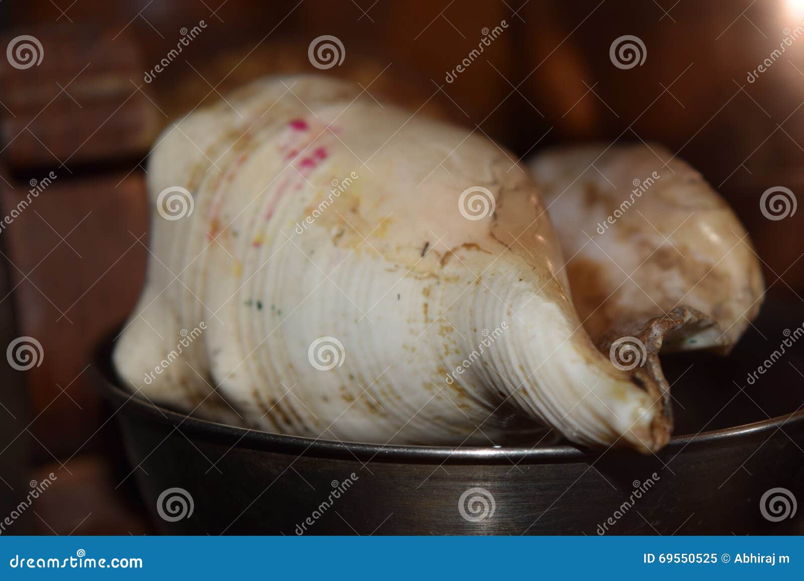 The holy shell stock image. Image of hand, shankh, shell - 69550525