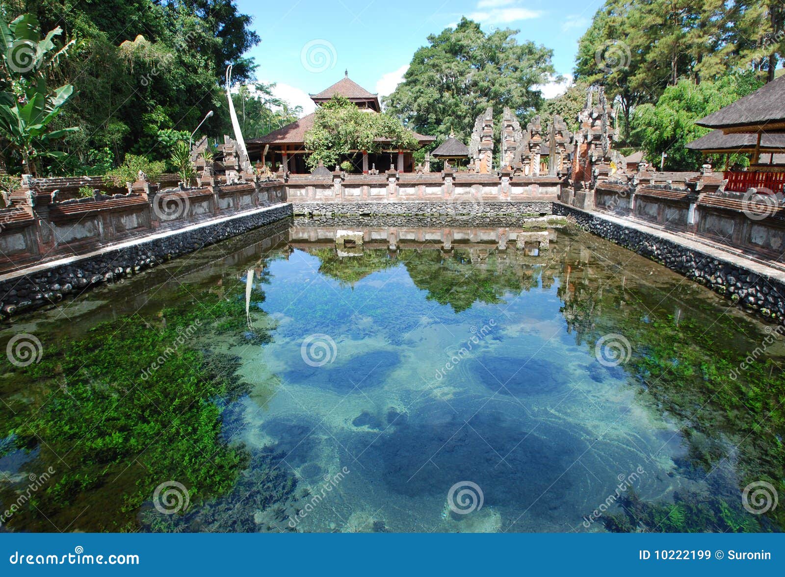 HOLY SPRING in BALI TEMPLE stock image. Image of temple - 10222199