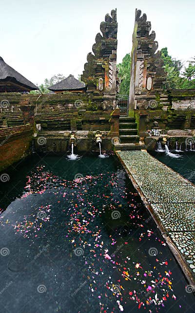 Holy Spring in Old Bali Temple Stock Photo - Image of bali, asia: 7787556