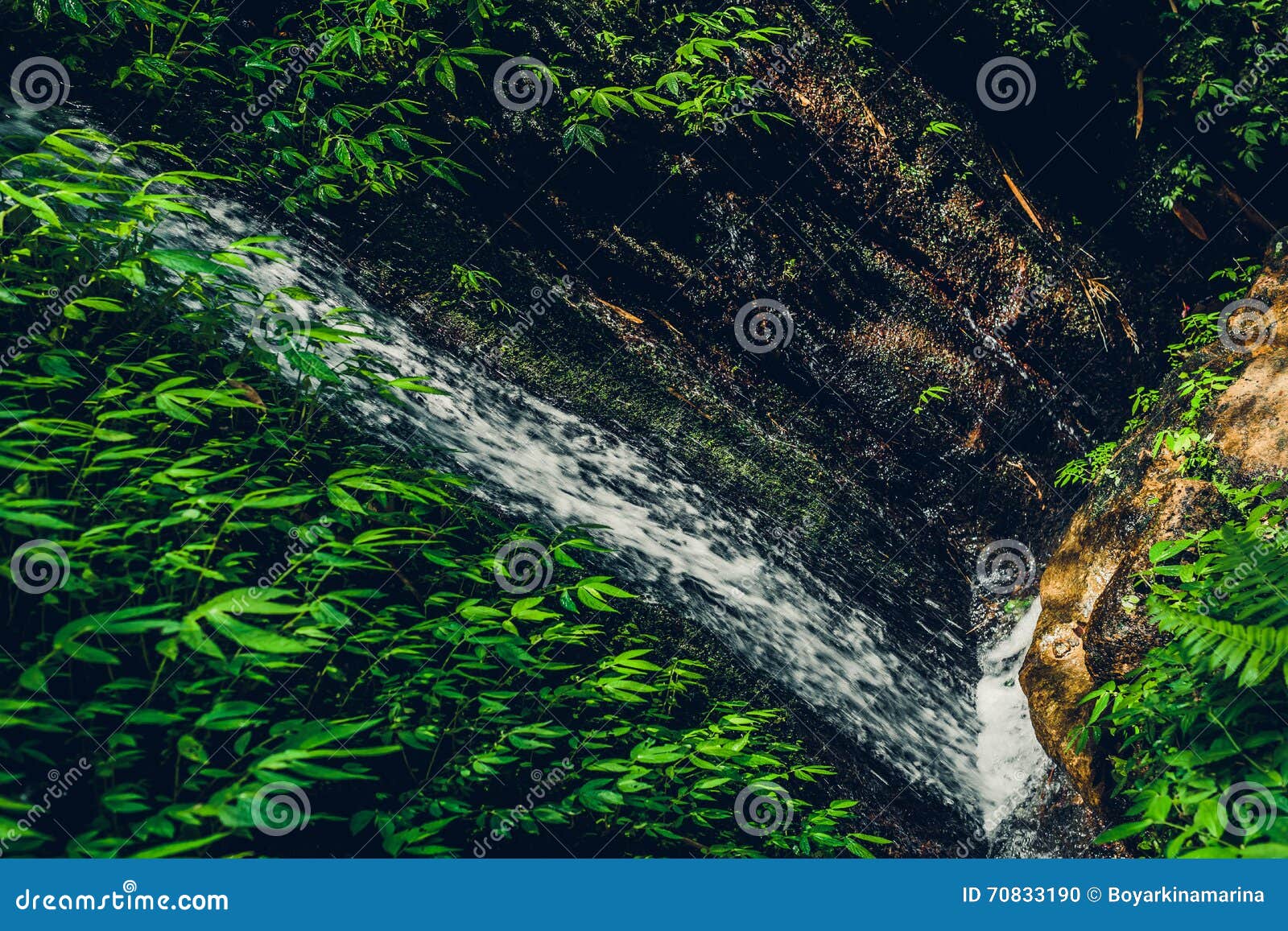 Spring Sebat Stock Photos - Free & Royalty-Free Stock Photos from ...