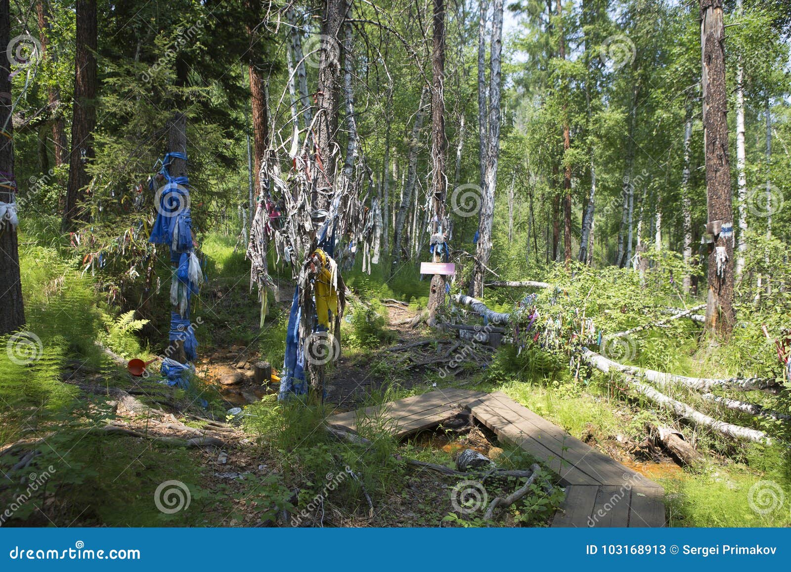 A Holy Spring of Water with Medicinal Properties Stock Image - Image of ...