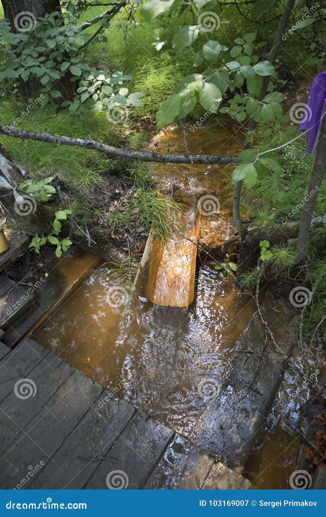 A Holy Spring of Water with Medicinal Properties Stock Image - Image of ...
