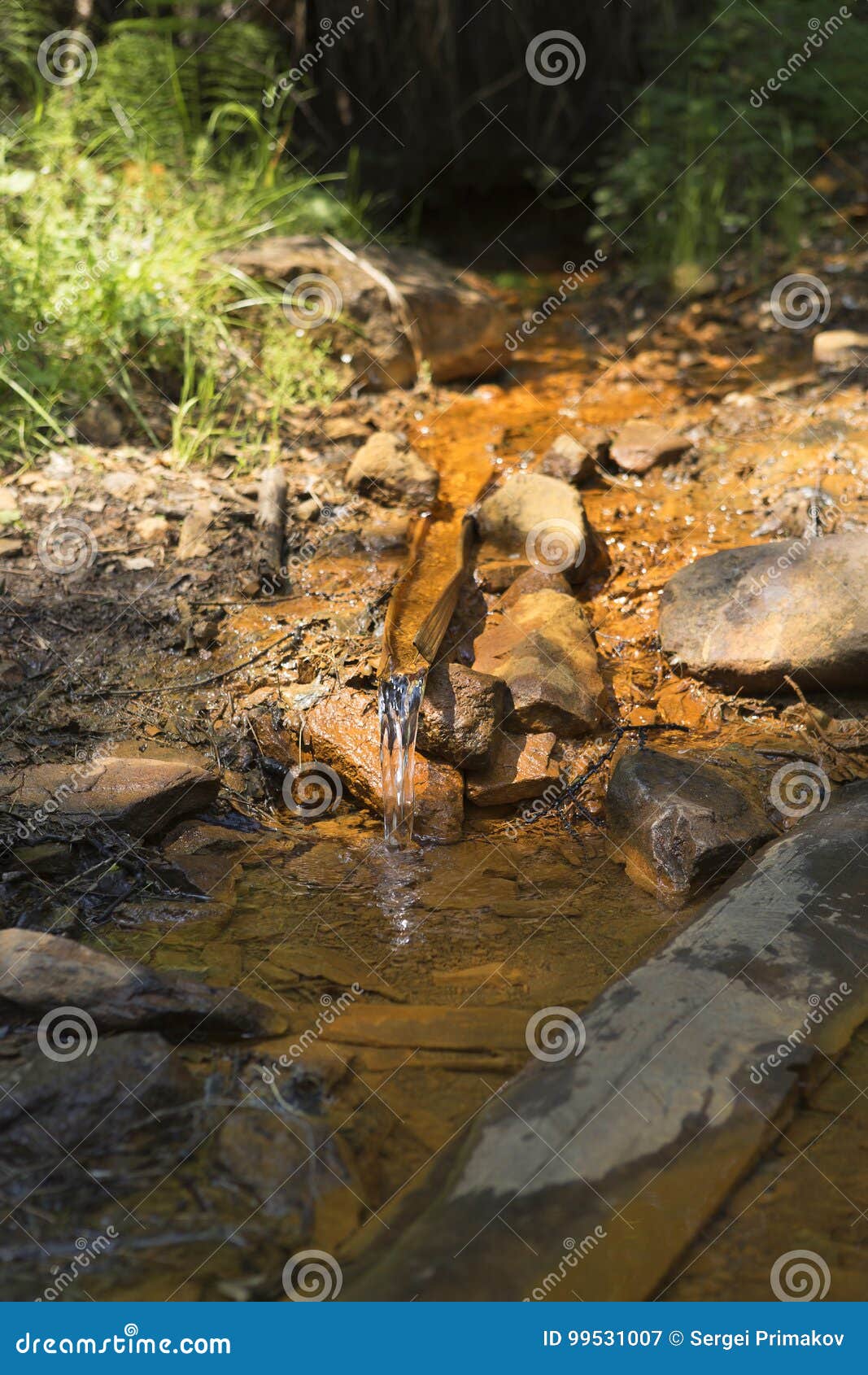 A Holy Spring of Water with Medicinal Properties Stock Image - Image of ...