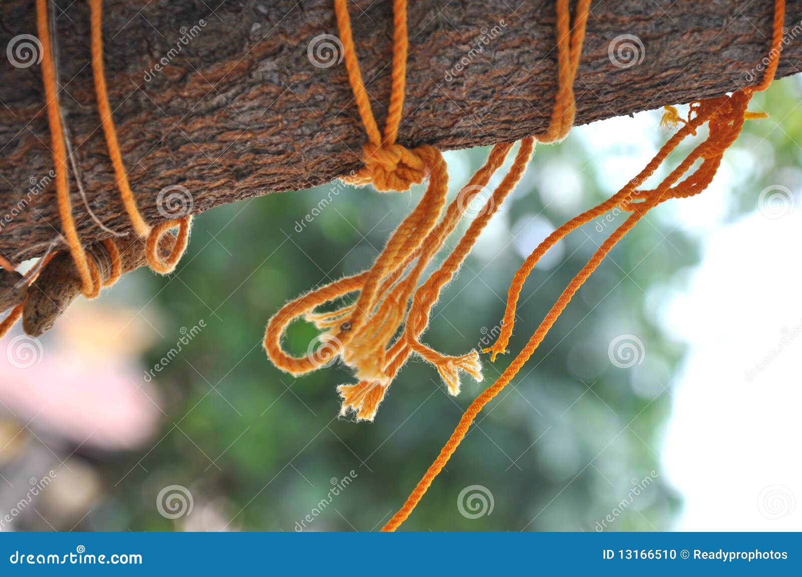 Holy thread mangalsutra stock photo. Image of divine - 13166510