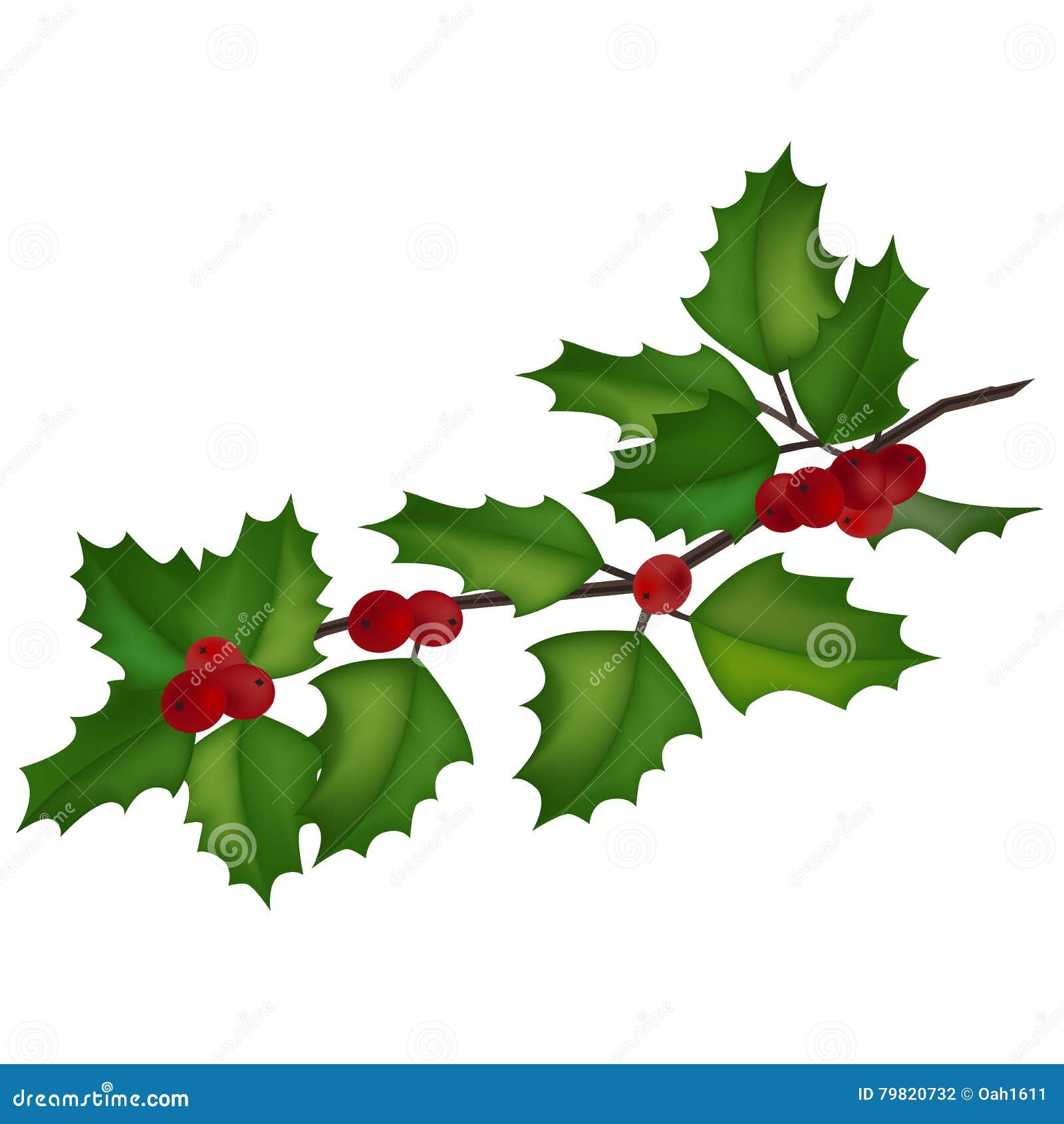 Holy tree branch stock vector. Illustration of bright - 79820732