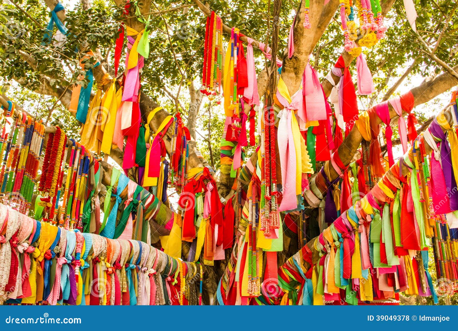 Holy tree stock photo. Image of religious, orient, artistic - 39049378