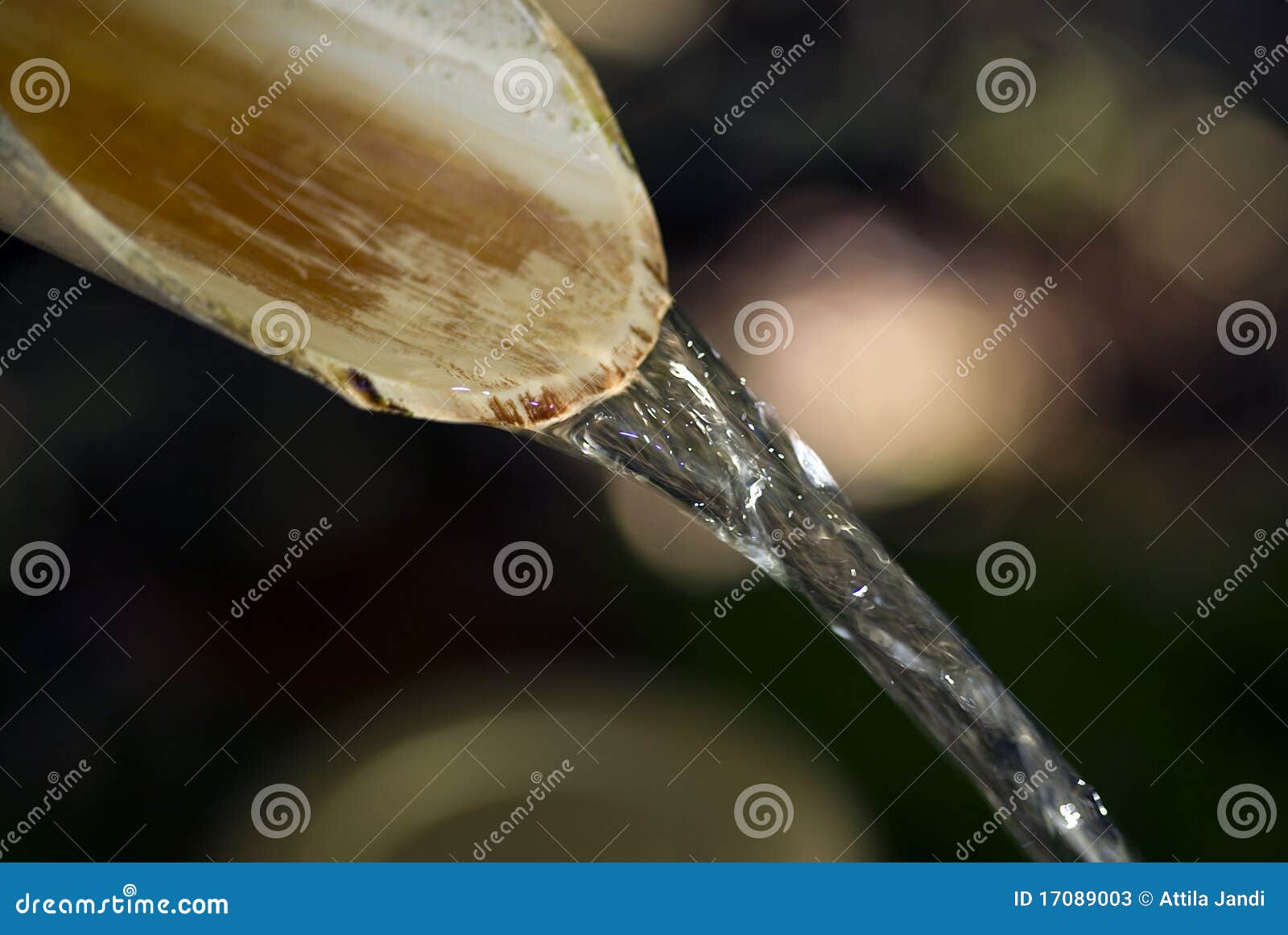 1,542 Holy Bamboo Stock Photos - Free & Royalty-Free Stock Photos from ...