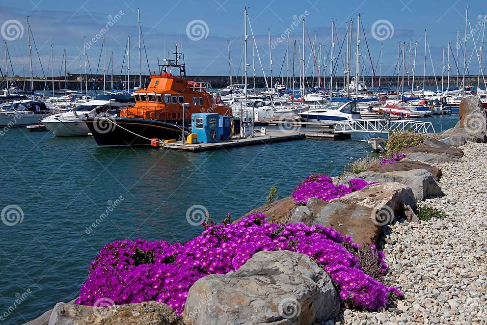 Holyhead Marina and Harbour Stock Photo - Image of ocean, marina: 15071738
