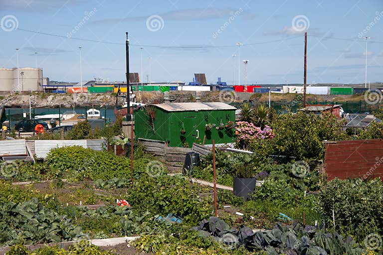 Holyhead Marina and Harbour Stock Photo - Image of allotment, isle ...