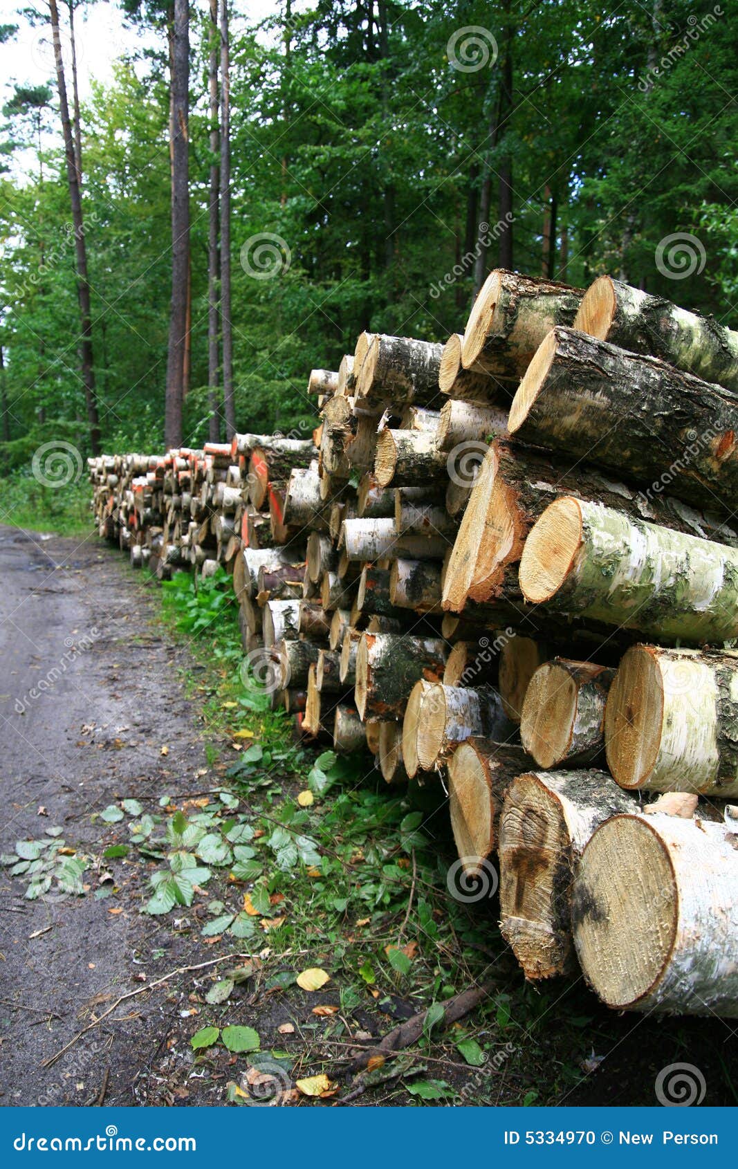 Holz Bild. Bild: 5334970