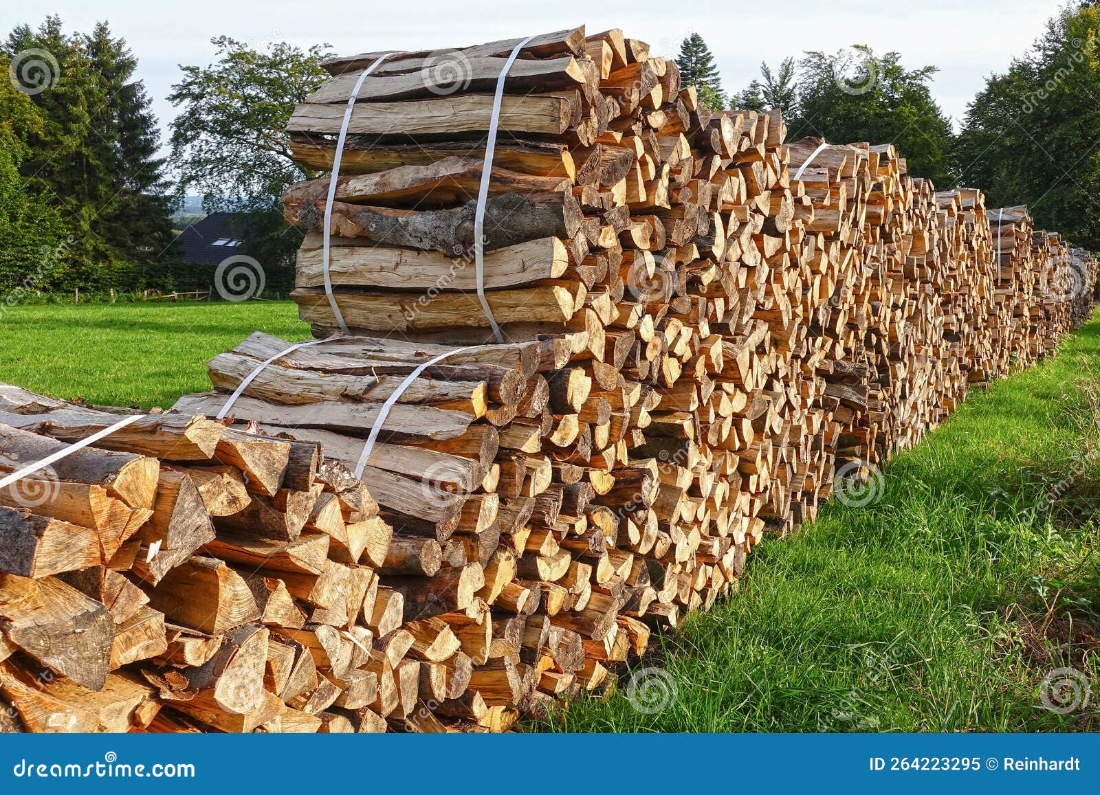 Large Bundles of Chopped Wood Stock Image - Image of pile, burning ...