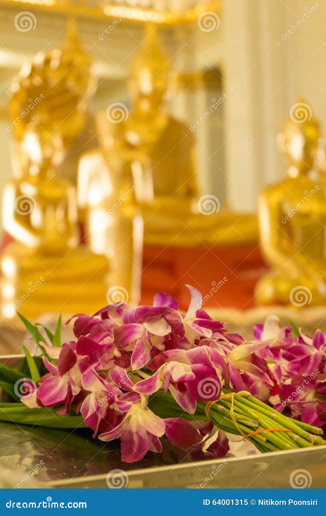 Homage father sothon . stock image. Image of history - 64001315