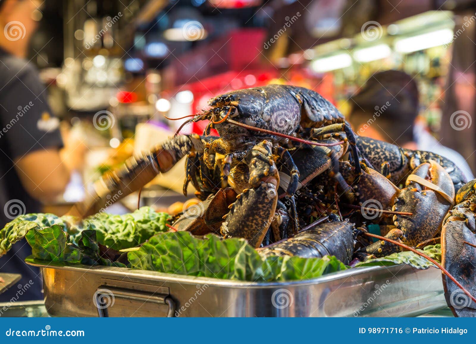 Homar zdjęcie stock. Obraz złożonej z homar, czerń, kopiasty - 98971716