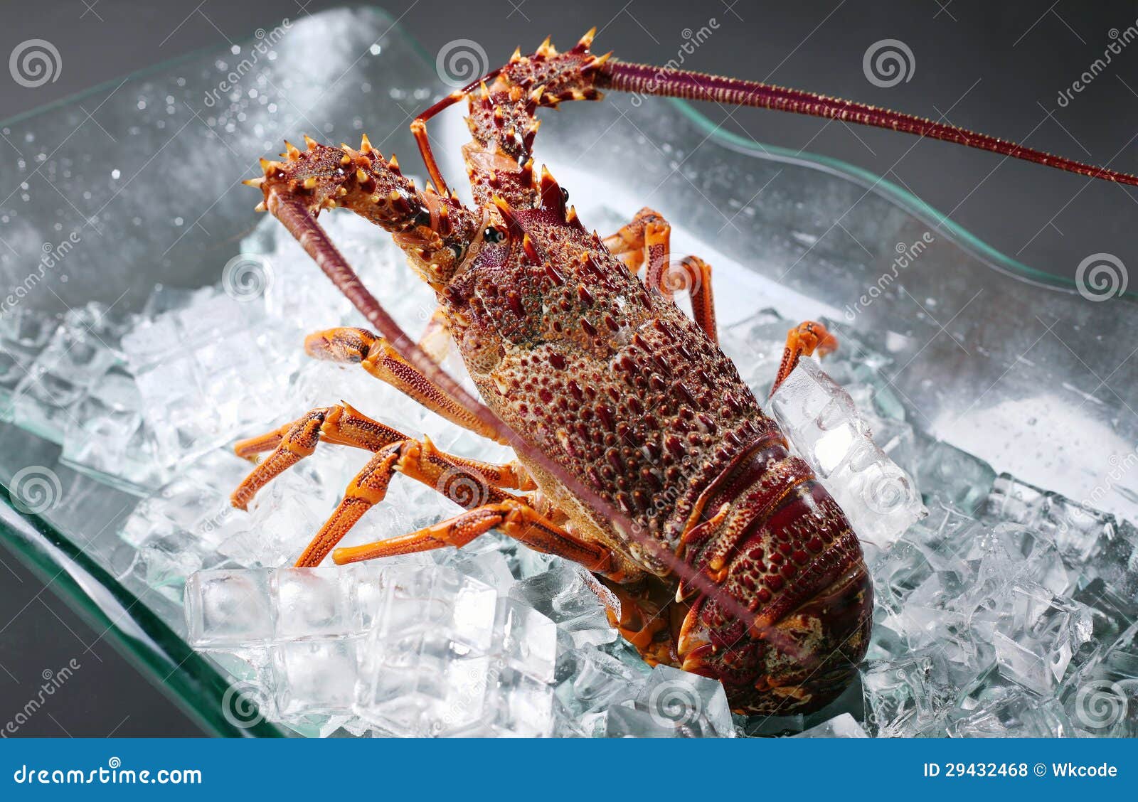 Homard australien photo stock. Image du cuisine, australie - 29432468