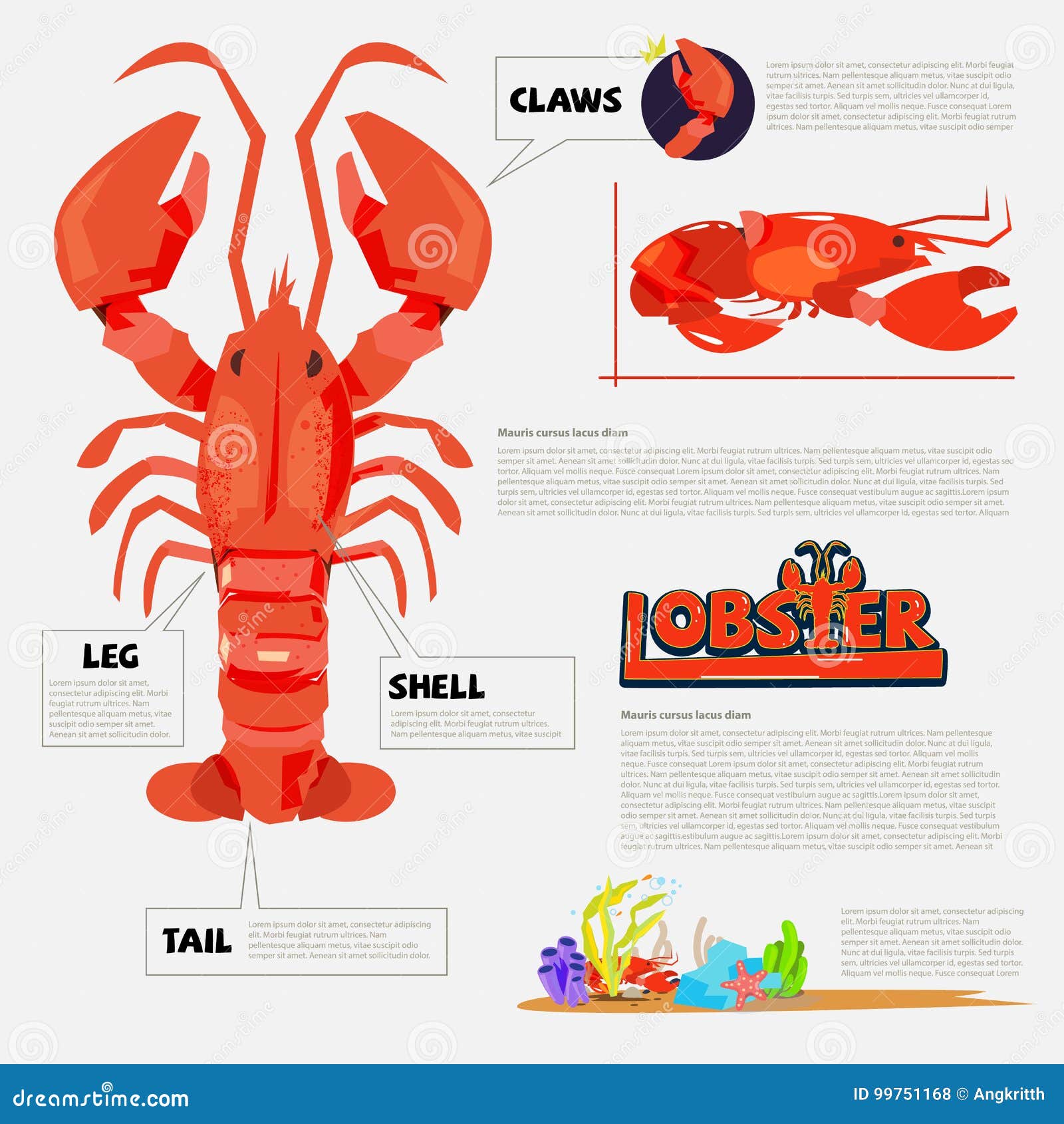 Homard - illustration illustration de vecteur. Illustration du ...