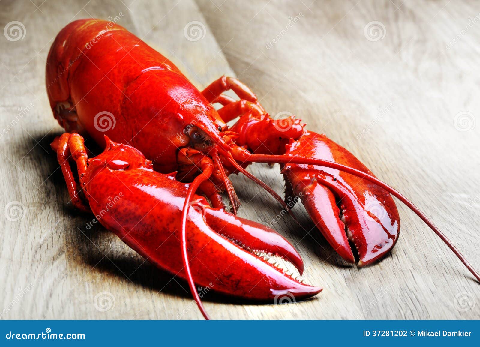 Homard rouge sur le bois photo stock. Image du langoustine - 37281202
