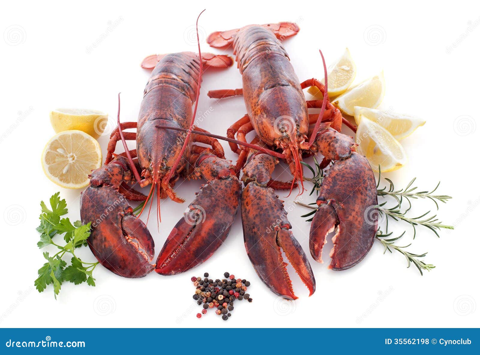 Homards photo stock. Image du cuisine, frais, chaux, animal - 35562198