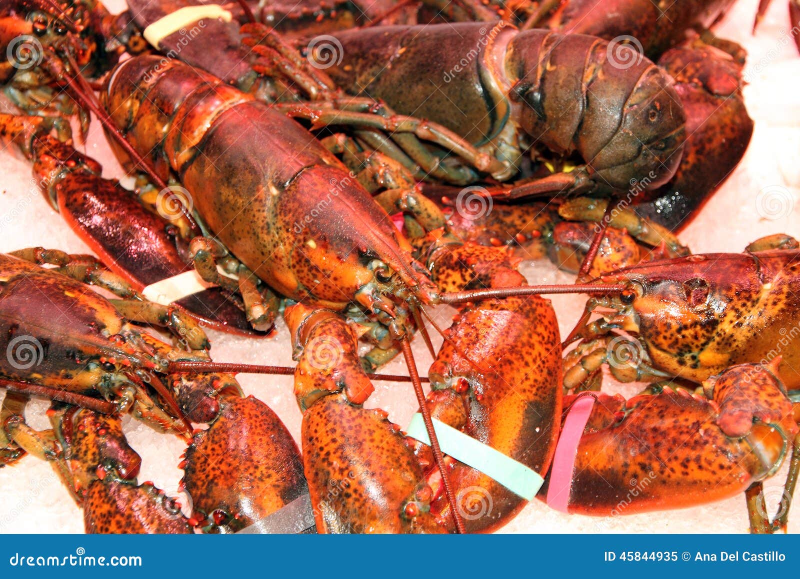 Homards sur la glace image stock. Image of barcelone - 45844935