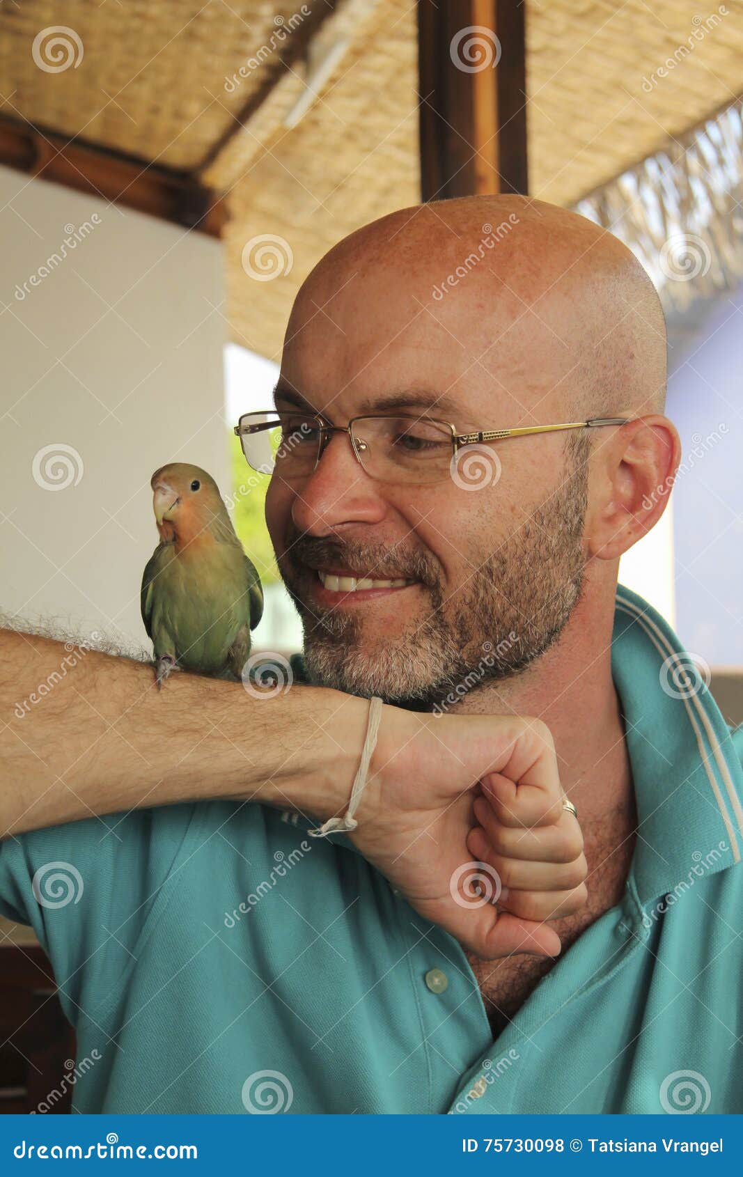 Hombre Calvo Sonriente Con Una Barba Con Un Loro Foto de archivo ...