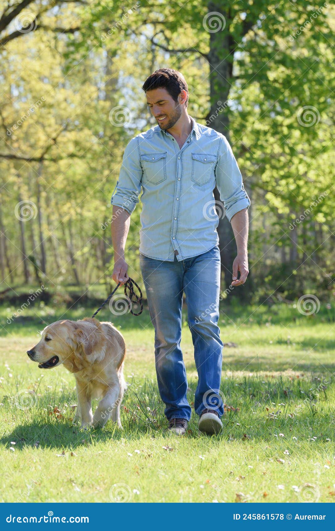 Hombre Caminando Con Perros Foto de archivo - Imagen de animales ...