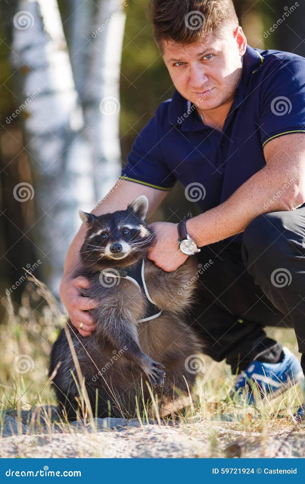Hombre con el mapache foto de archivo. Imagen de salvaje - 59721924