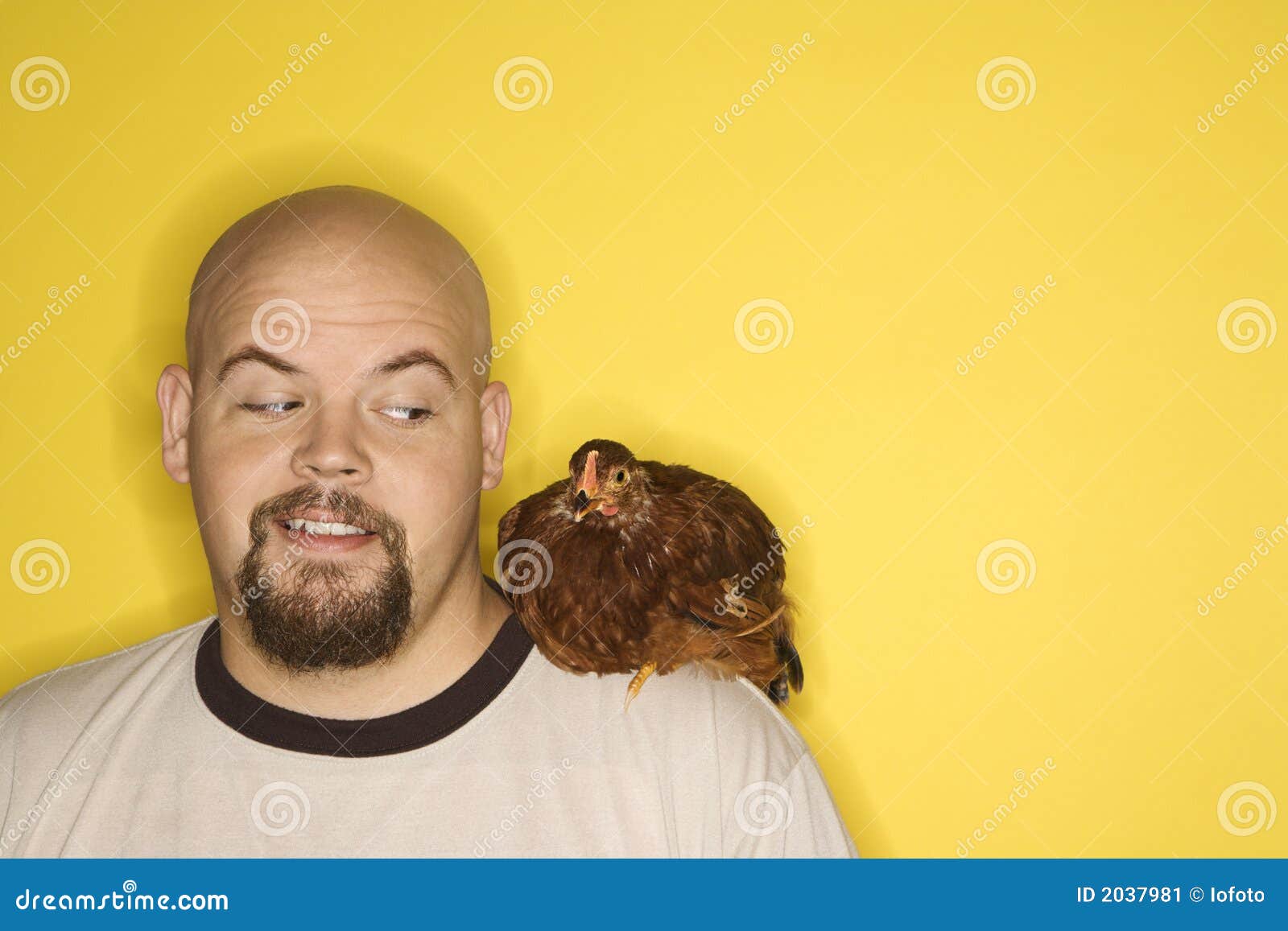 Hombre Con El Pollo En Su Hombro. Imagen de archivo - Imagen de imagen ...