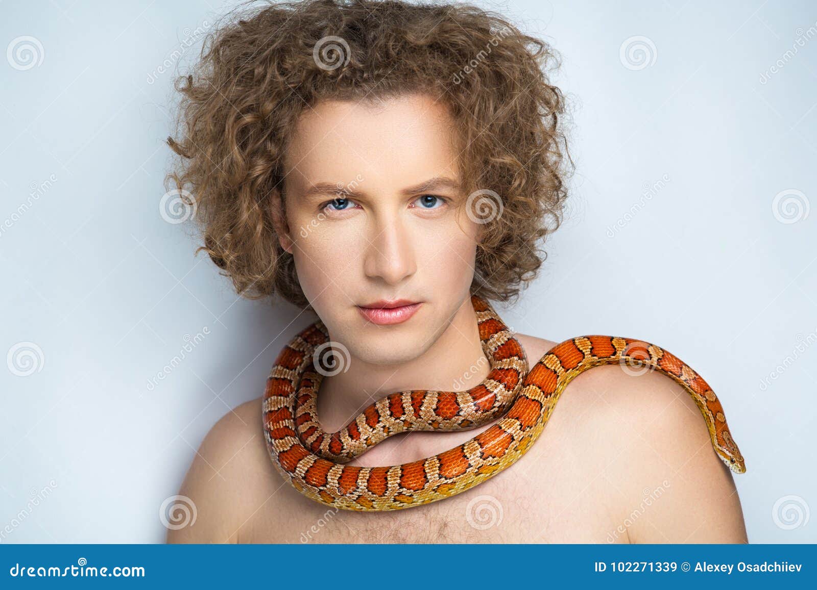 Hombre con la serpiente imagen de archivo. Imagen de atractivo - 102271339