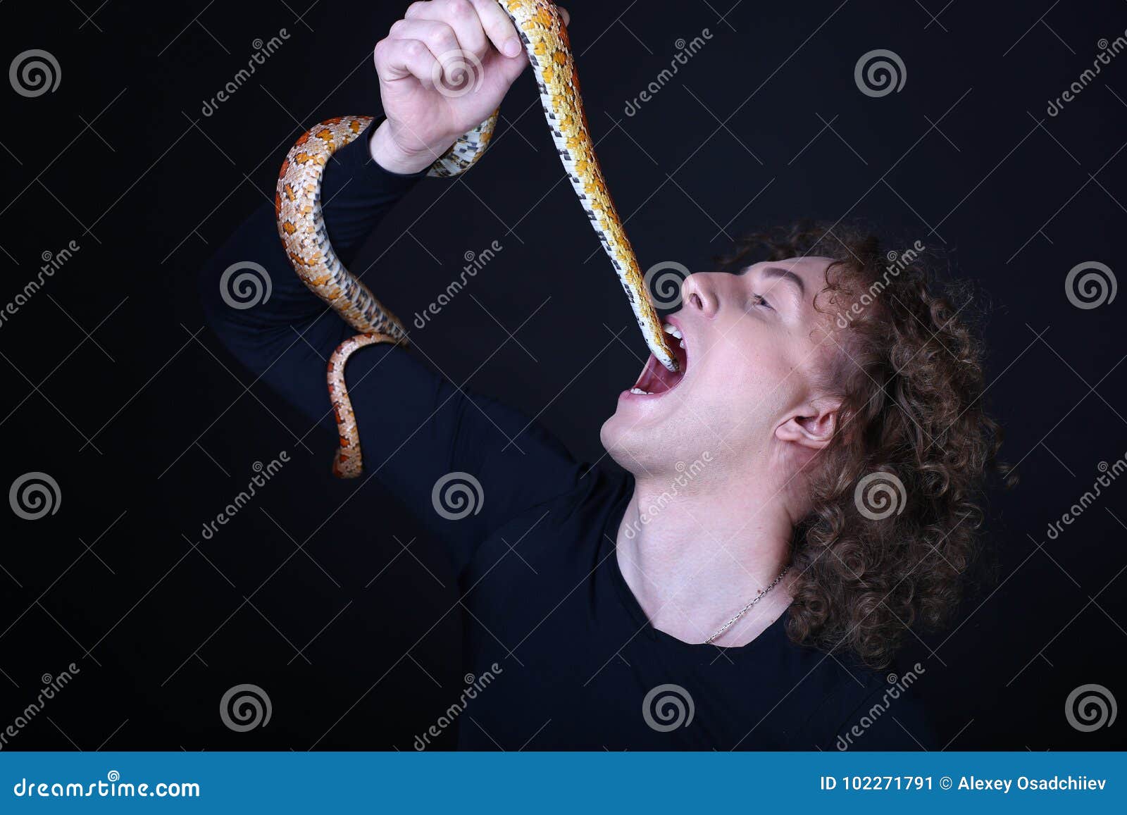 Hombre con la serpiente imagen de archivo. Imagen de mirada - 102271791