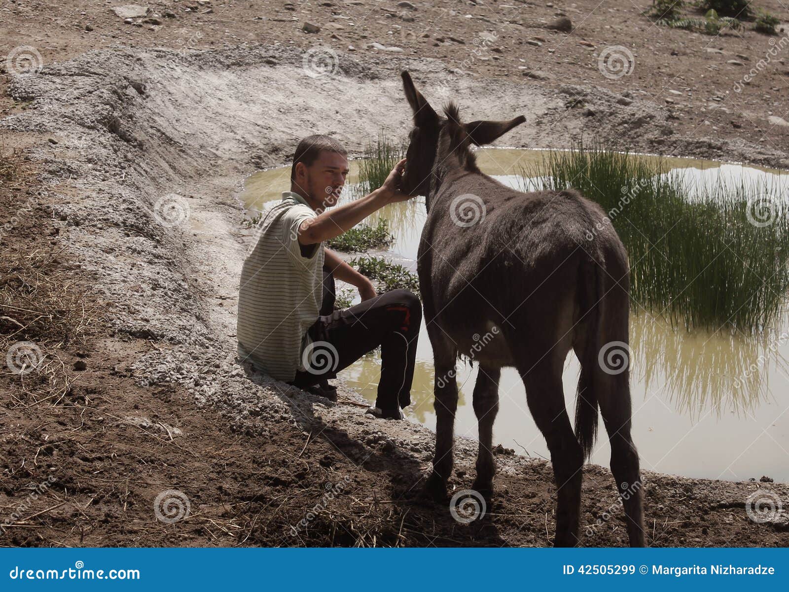 Hombre Joven Y Burro Imagen de archivo editorial - Imagen: 42505299