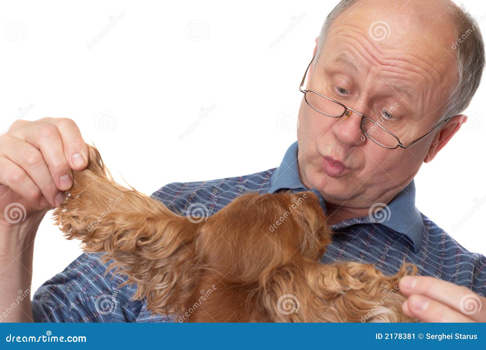 Hombre Mayor Calvo Con El Perro Imagen de archivo - Imagen de mayor ...