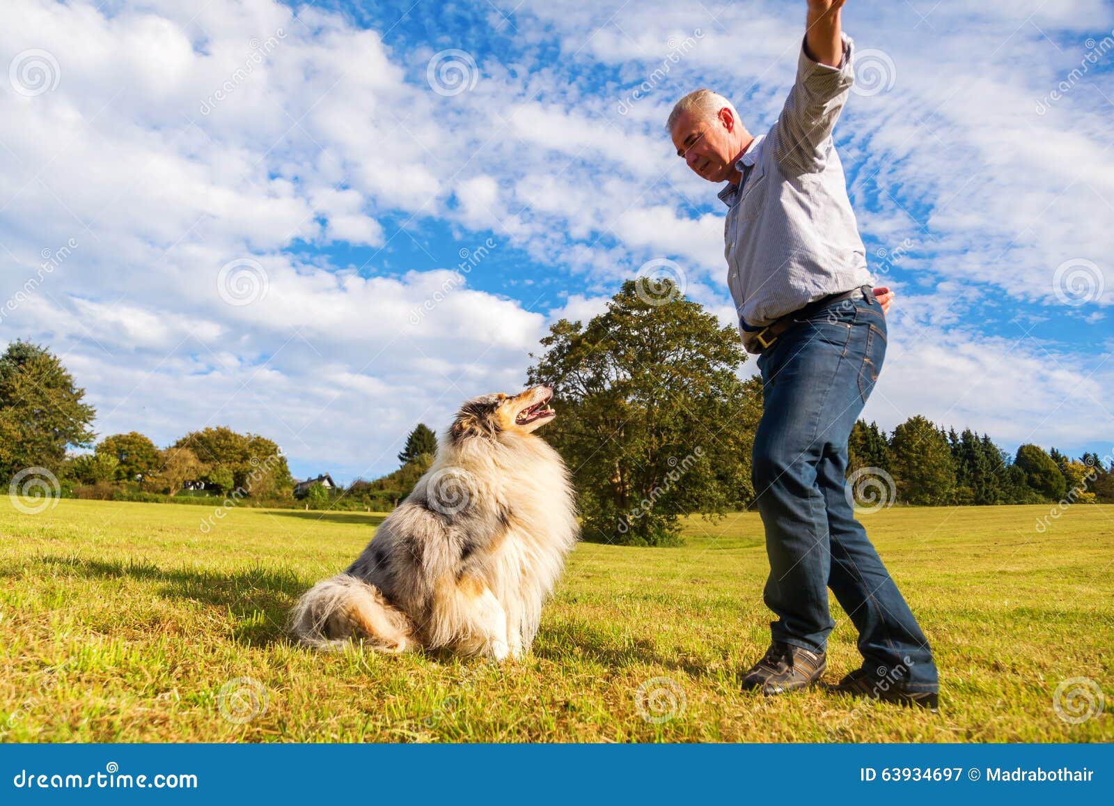 Hombre Que Da Comando a Su Perro Imagen de archivo - Imagen de animal ...