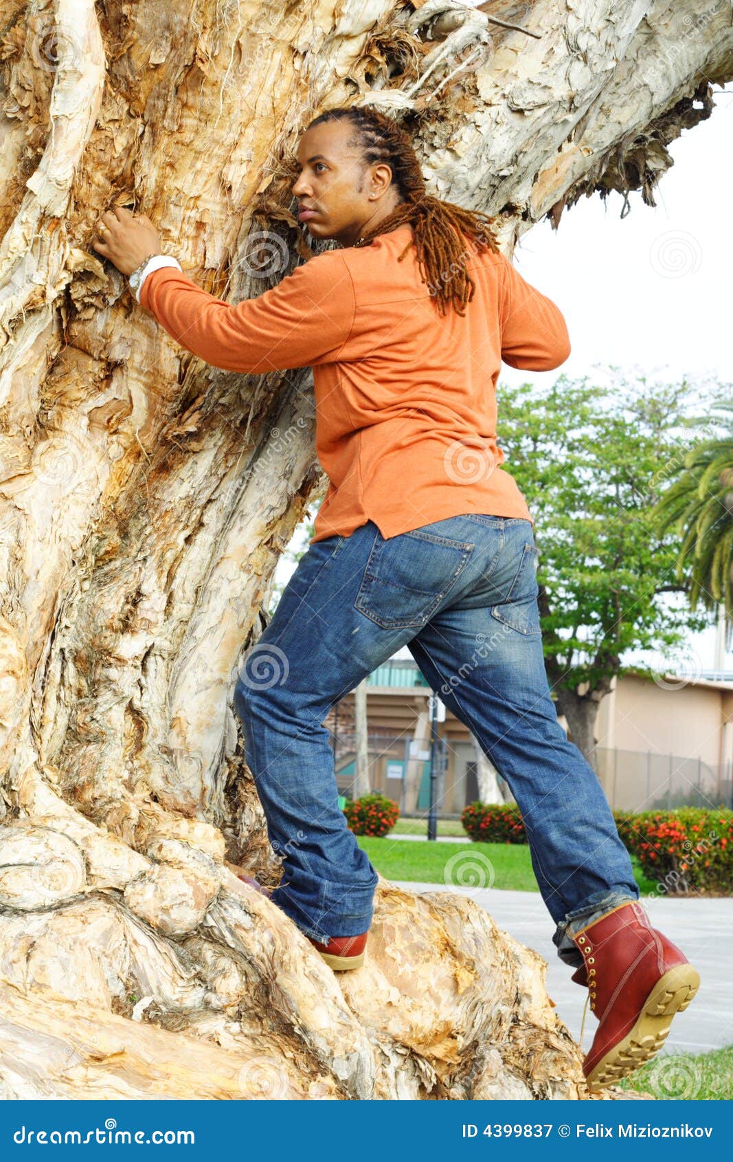 Hombre que sube un árbol imagen de archivo. Imagen de afuera - 4399837