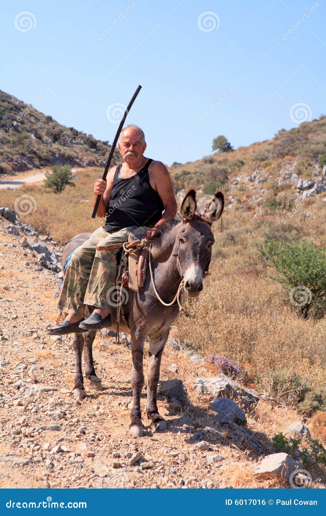Hombre y burro del Cretan foto editorial. Imagen de tradicional - 6017016