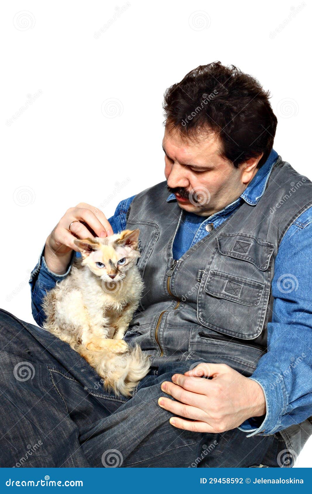 Hombre y gatito foto de archivo. Imagen de amistad, brunet - 29458592