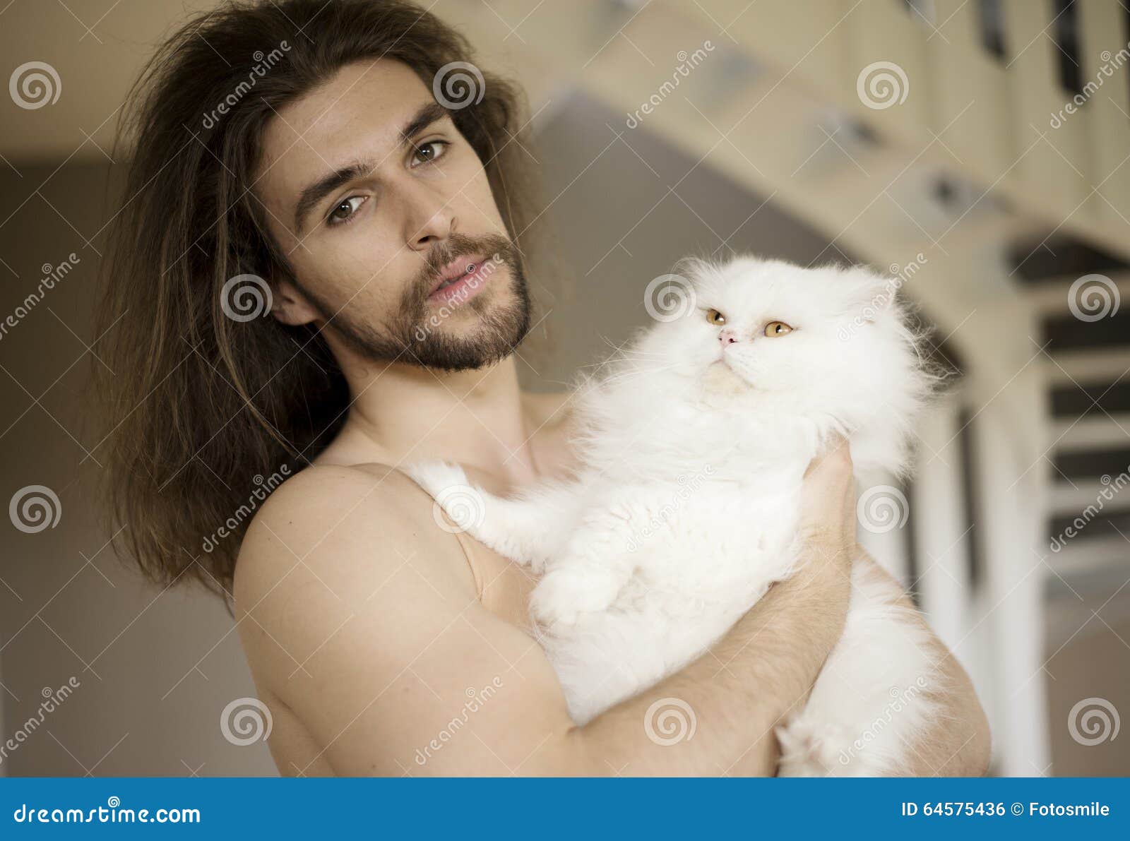 Hombre y gatito foto de archivo. Imagen de bigote, shirtless - 64575436