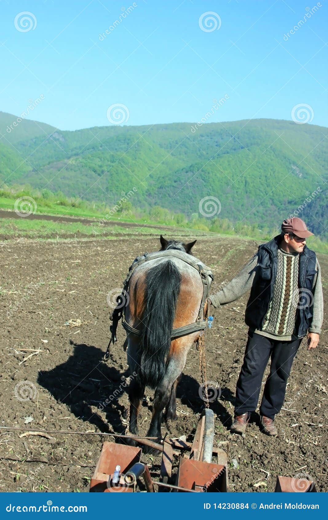 Hombres Que Comienzan A Arar Imagen. Imagen: 14230884