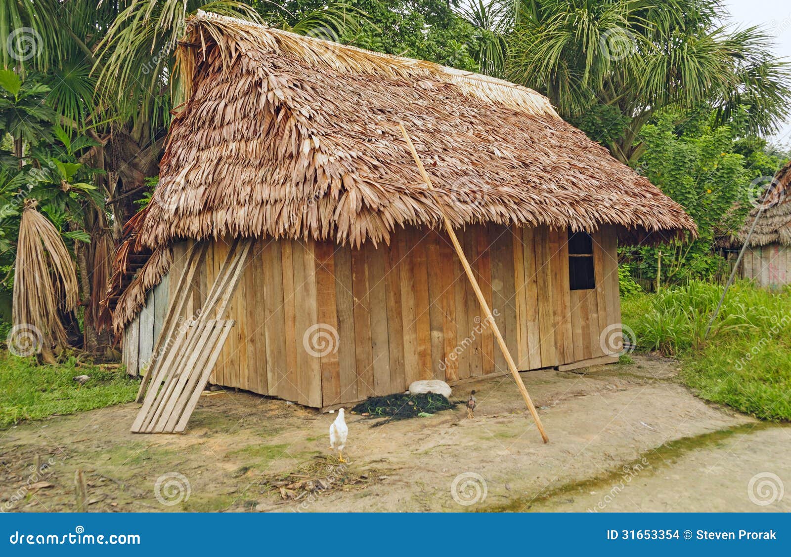 Home in an Amazon Village stock photo. Image of forest - 31653354