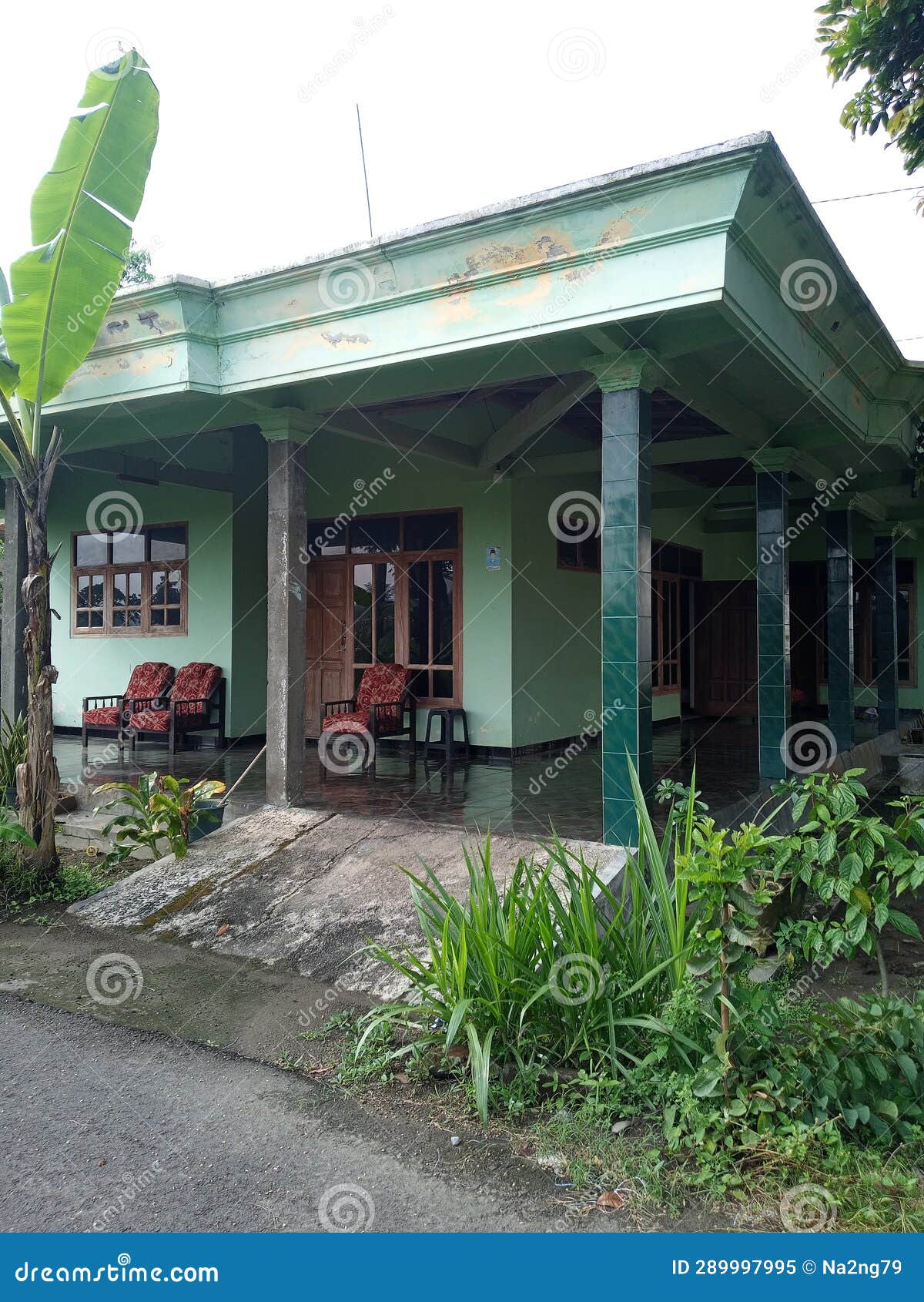 Home Banana Tree Chair Green Cooll Stock Image - Image of green, home ...