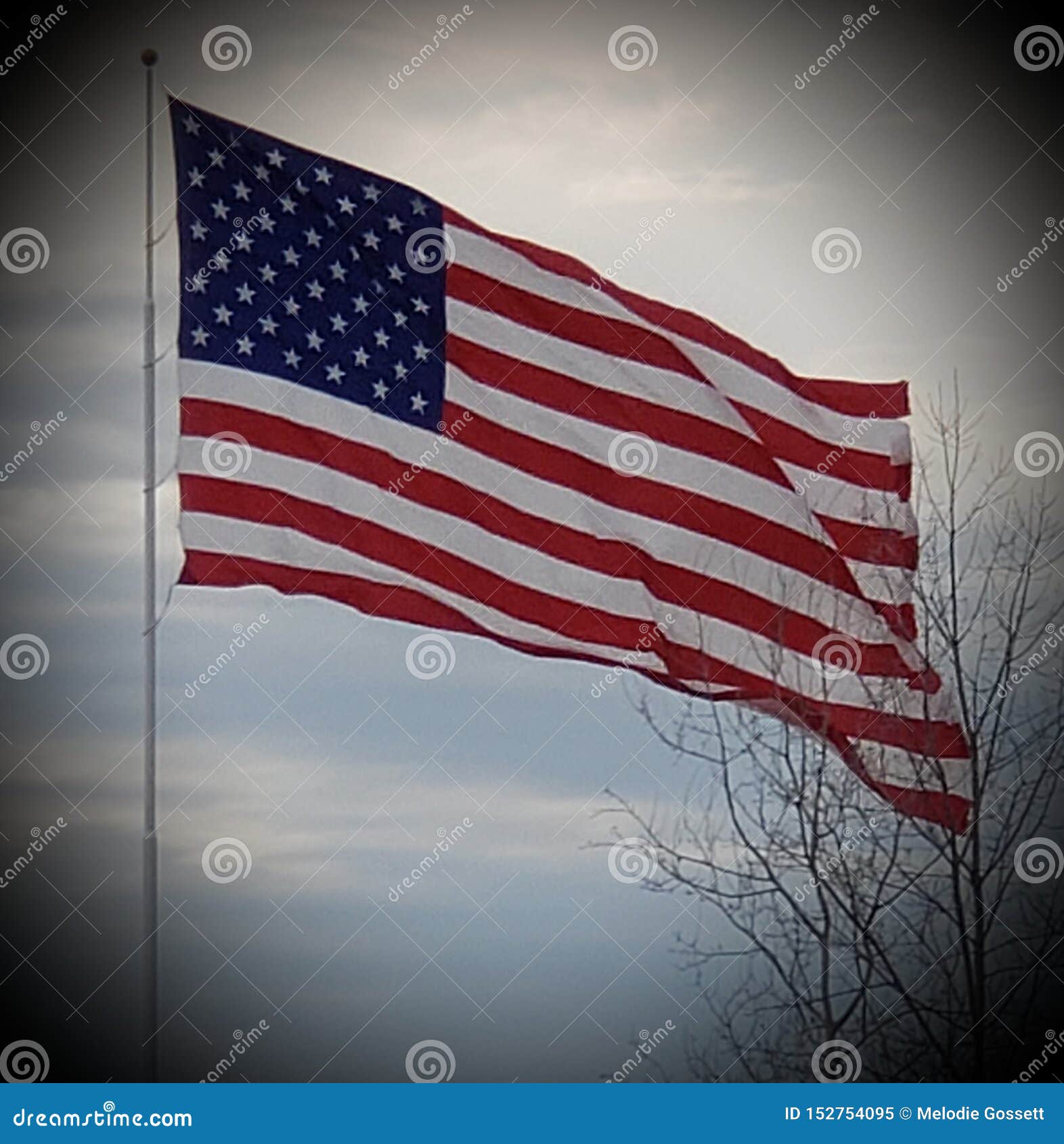 Home of the brave flag stock image. Image of white, brave - 152754095