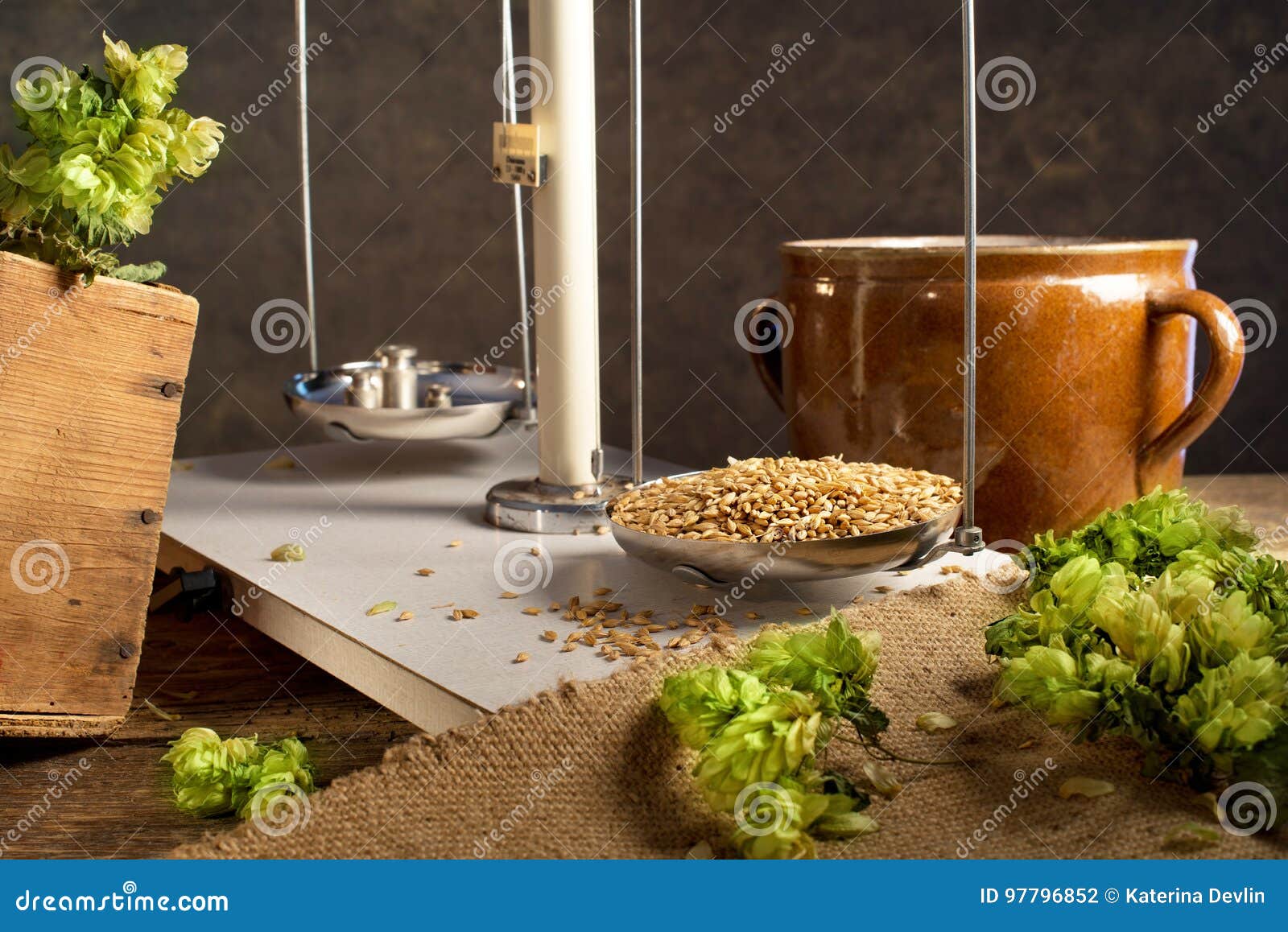 Home Brewing of Beer. stock photo. Image of weigh, barley - 97796852