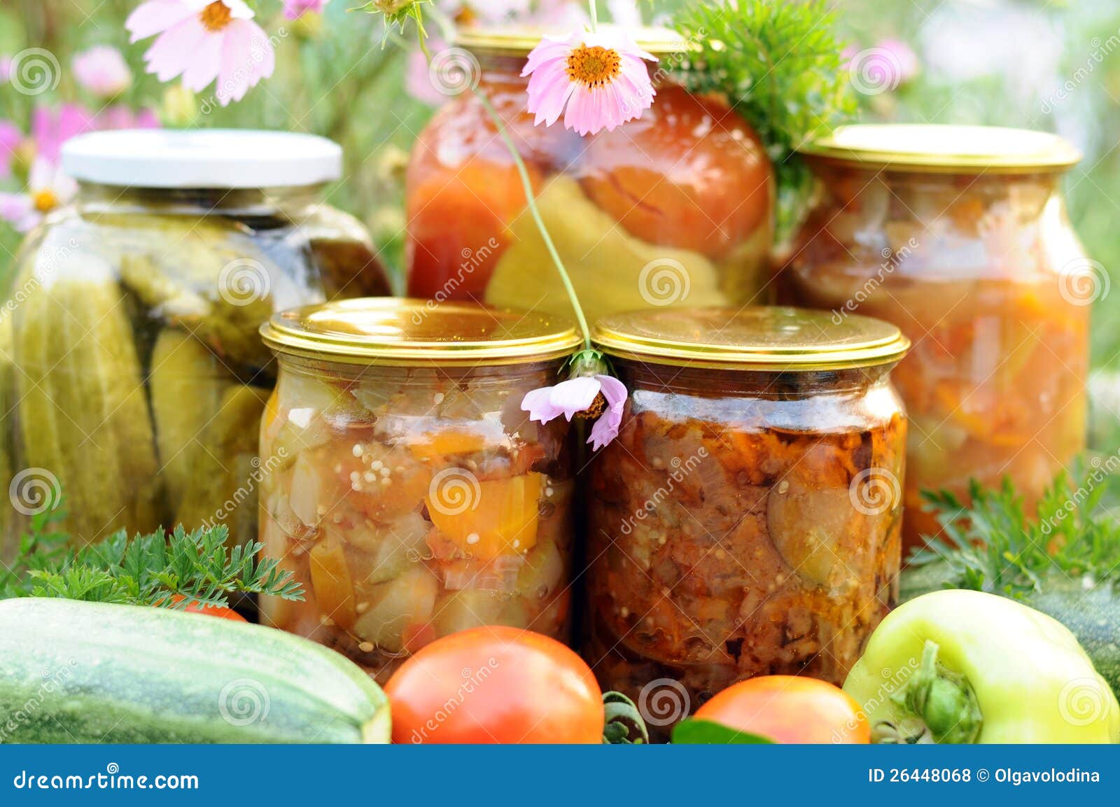 Home Canning, Canned Vegetables Stock Photo - Image of eggs, container ...
