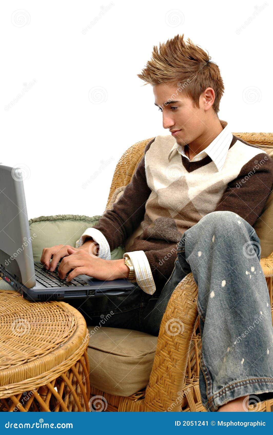 Home Computing stock image. Image of typing, home, adult - 2051241
